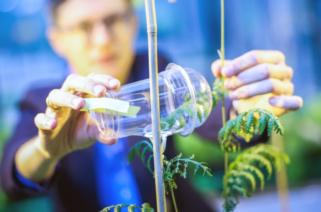 Wie Pflanzen ihren Chemie-Mix individuell ausrichten – Aktuell Uni ...
